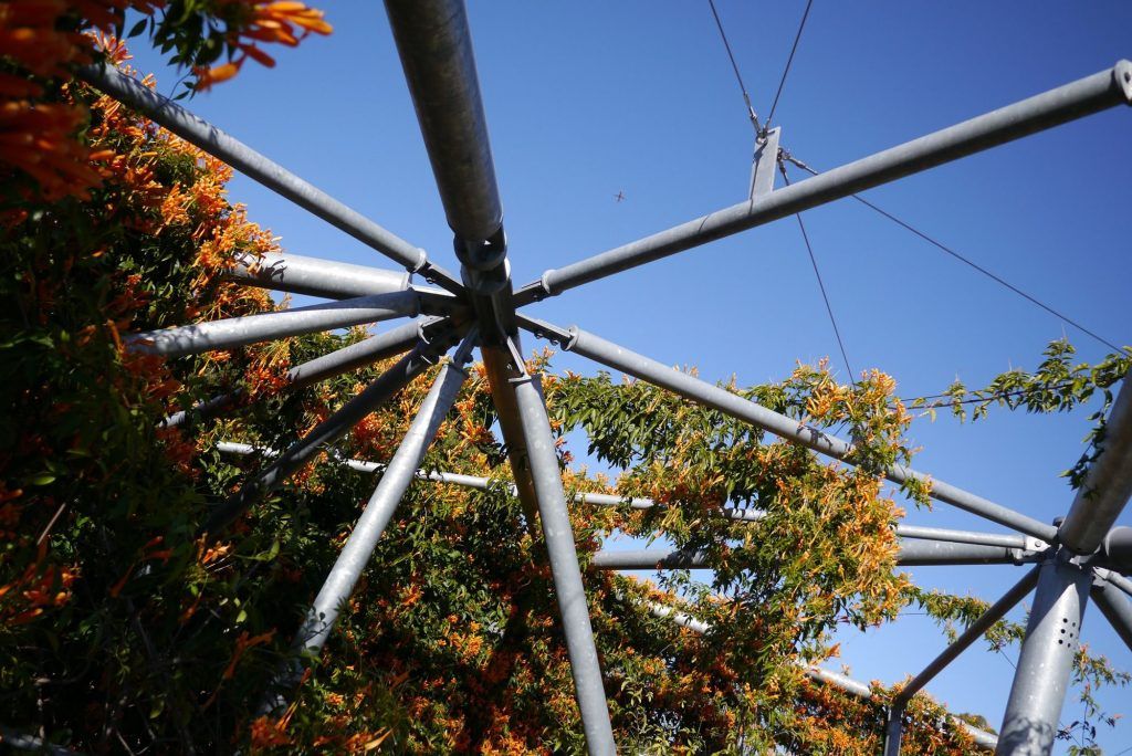 Walking, Guiding and Practise - Guiding Architects