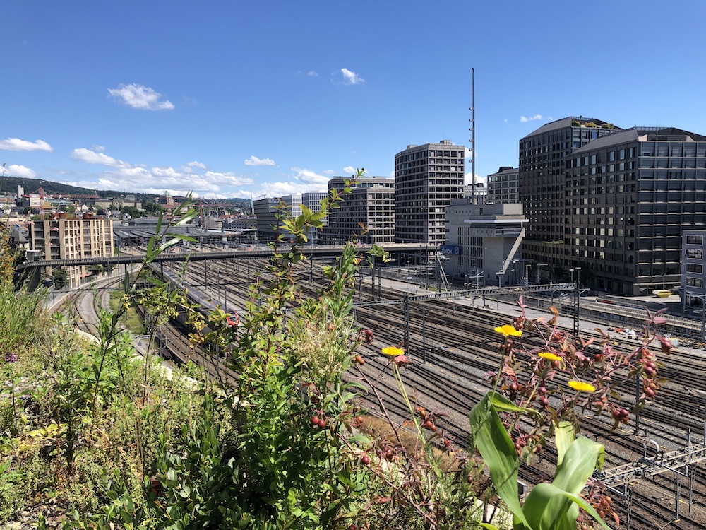 Europaallee vs Zollhaus - Guided tour in Zurich | Guiding Architects