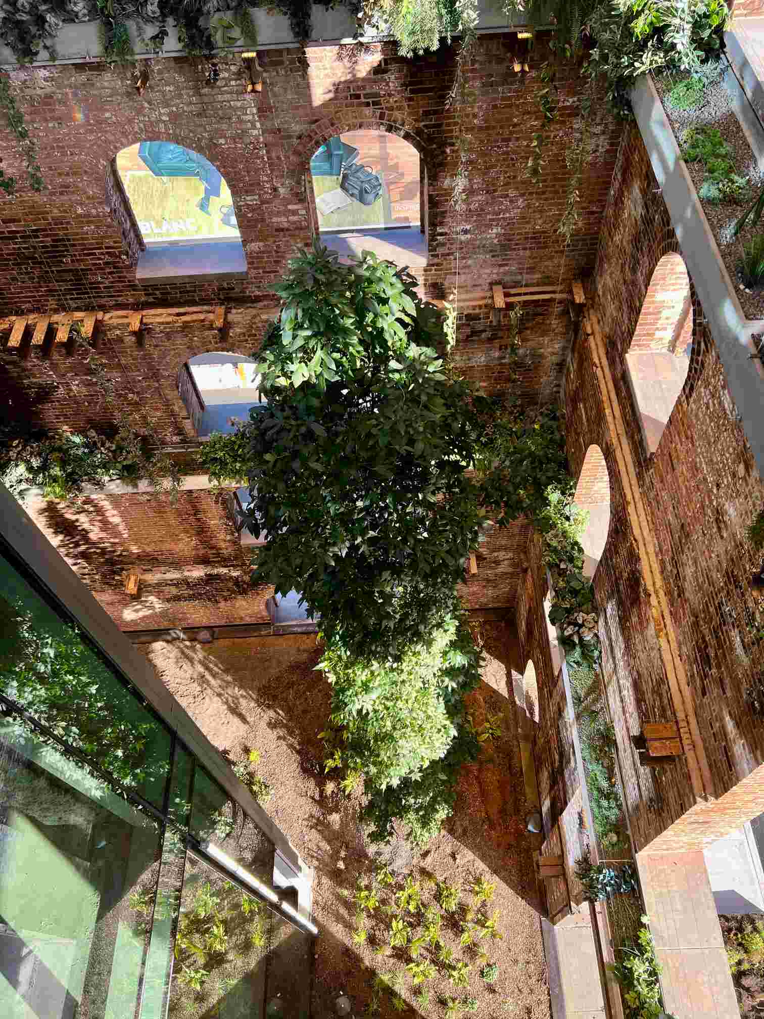 Plants grow in the gap between the old and the new. Photo by: ©Bettina ...